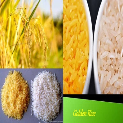 Biofortification of rice