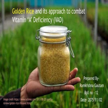 Golden rice | PPTX