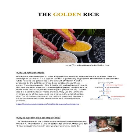 golden_rice.pdf