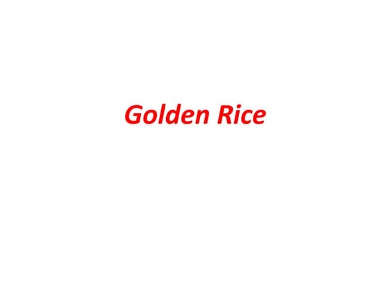 GOLDEN RICE; The genetically modified crop in India | PPTX