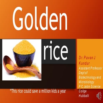 Golden Rice | PDF