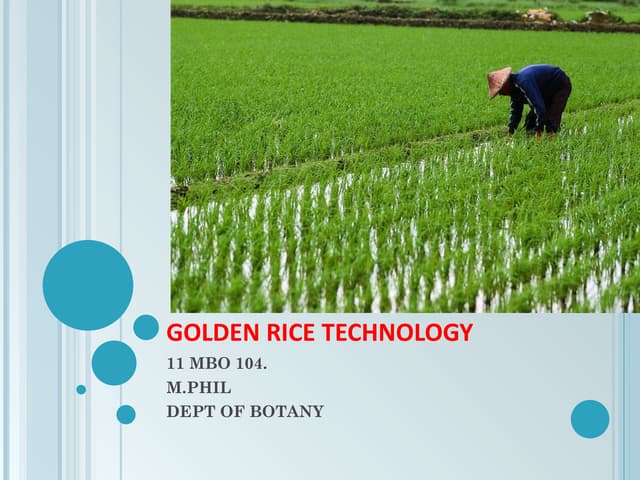 Genetically modified crops | PPTX