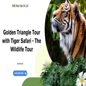 Adventures Ranthambore Wildlife Safari Tour with Golden Triangle 7Days ...