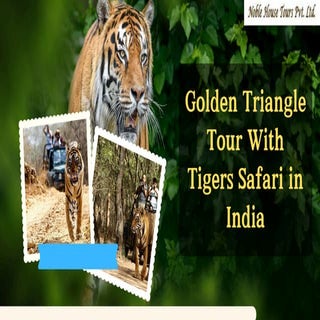 Golden Triangle Tour With Tigers Safari in India. | PPT