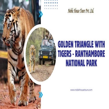 Golden Triangle With Tigers - Ranthambore National Park | PPT