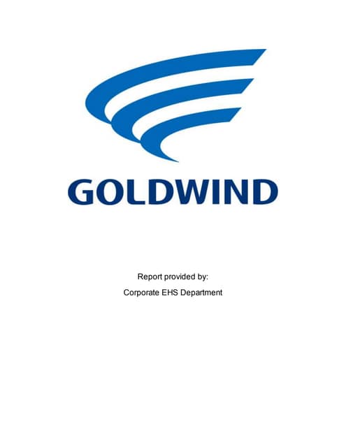 IG2 Risk Assessment.for any copany .docx | Medical Health