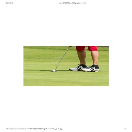 Golf | PDF