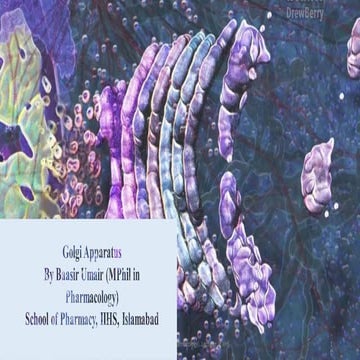 Golgi Apparatus, Structure, Function and Models of transport | PPTX