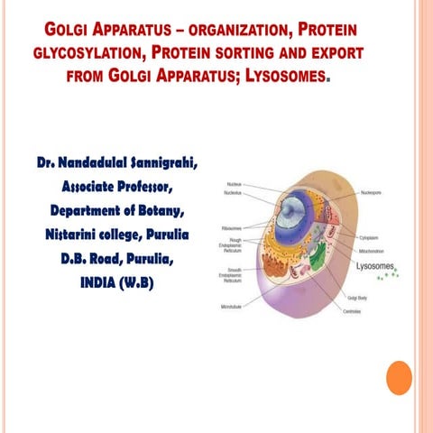 Ascidia - Zoology - exam point of view | PPTX