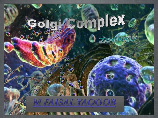Golgi apparatus ppt (introduction structure and Function) | PPTX