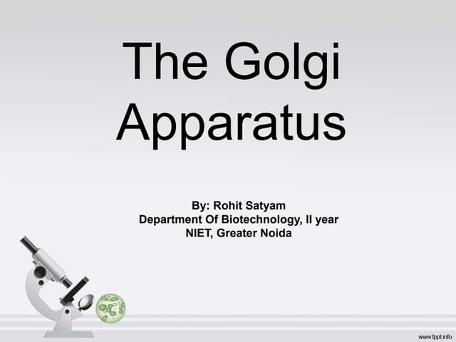 Golgi apparatus ppt (introduction structure and Function) | PPTX