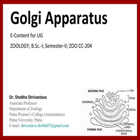 Golgi Complex.pdf The Golgi apparatus was first observed in 1898 by the ...