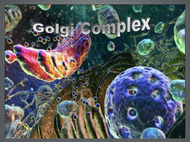 Golgi apparatus ppt (introduction structure and Function) | PPTX
