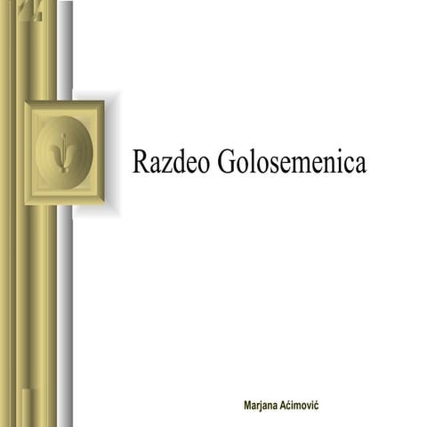 Golosemenice | PPT