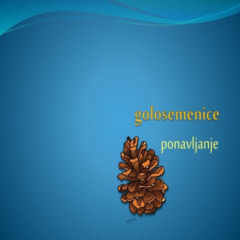 Golosemenice ponavljanje | PPTX
