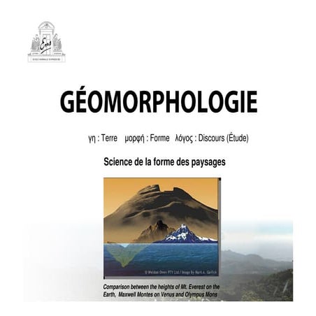 Pourquoi Le Passage De La Notion De Morphologie À Celle De ...