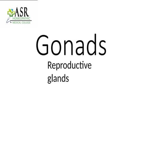 Gonads presentation pptx. By B. Deepthi | PPTX