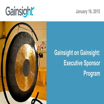 Executive Sponsor Program | PDF