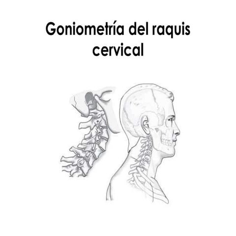 Posicion sedente | PPT