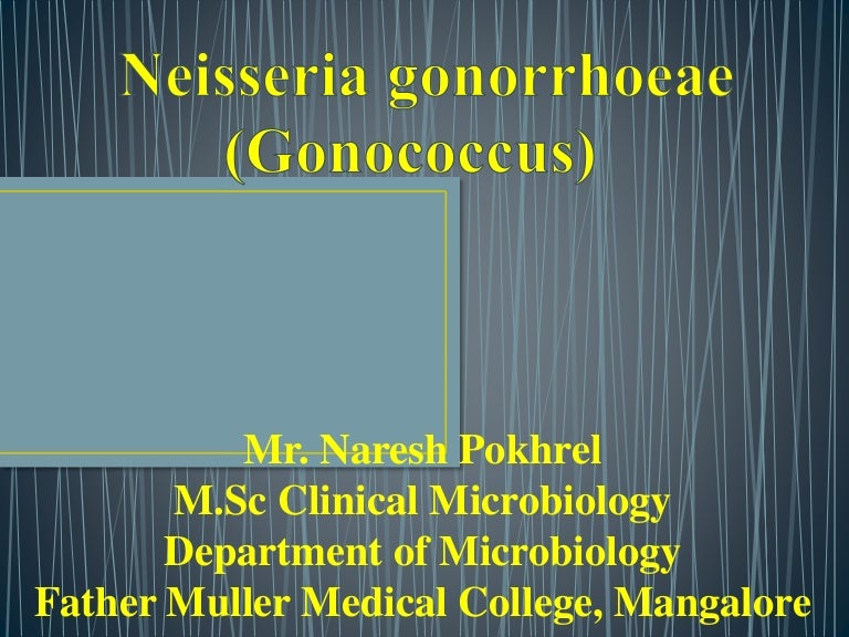 Gonococci