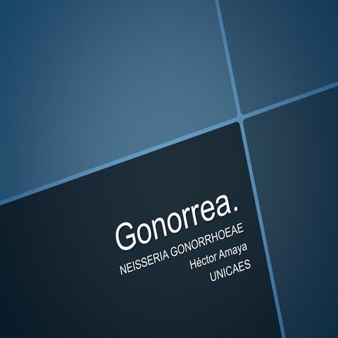 Gonorrea | PPTX