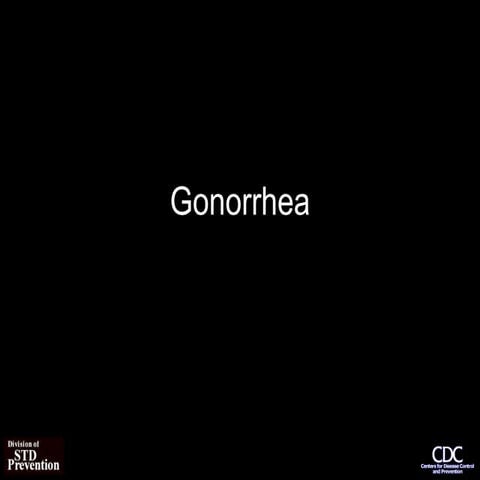 Gonorrhea.ppt