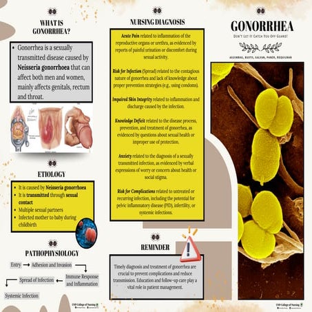 Gonorrhea Pamphelts (do not let it catch you of guard) | PDF