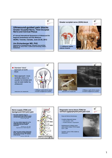 Ultrasound-guided pudendal nerve pulsed radiofrequency in patients with refractory pudendal ...