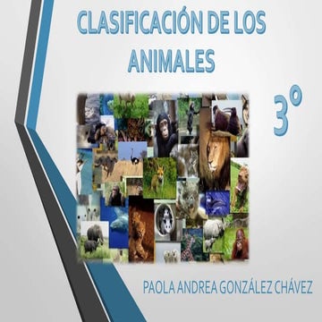 CLASIFICACIÓN DE LOS ANIMALES | PPTX