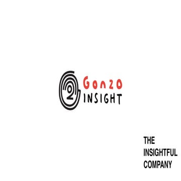 Gonzo Insight | PDF