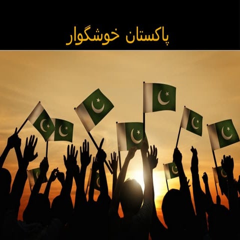 Good citizen slides progressive pakistan ppt.pptx