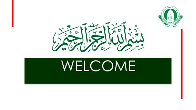 7. Physical Activity Pyramid.pptx