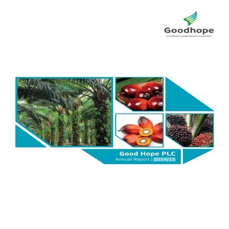 Goodhope Investor Information | PDF