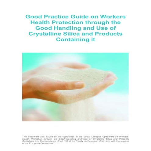 Good practice guide workers health protection | PDF