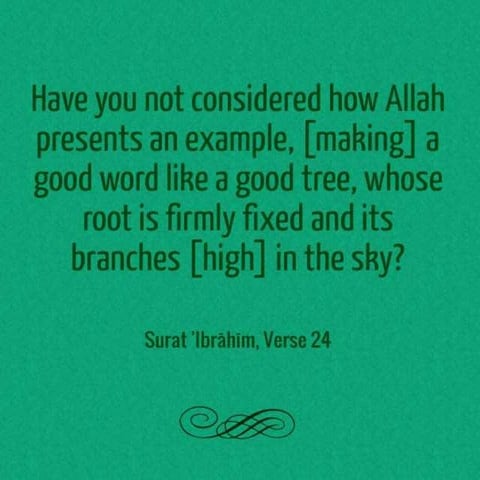 Good word is like a good tree | PPT