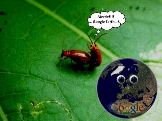 Egitto google maps | PDF