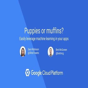 Google Machine Learning APIs - puppies or muffins? | PPT