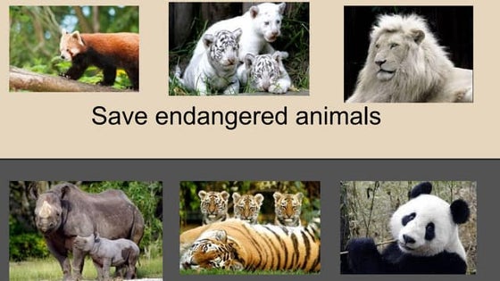 animals endangered in the kingdom of earth | PPTX