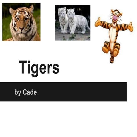 Adaptation-of-Tigers-to-Tropical-Environments-The-Malayan-Tiger.pptx