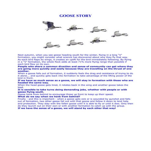 Goose story ak | DOC