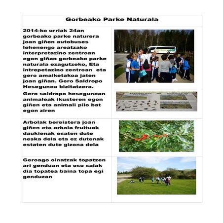 Gorbea lana leiorek eginda | ODT