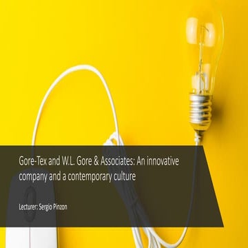 Gore-Tex and W.L. Gore & Associates- An innovative company and a ...