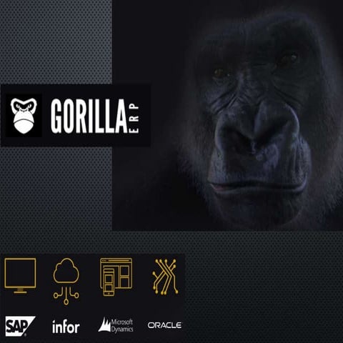 Gorilla ERP Project management for ERP Systems | PPT