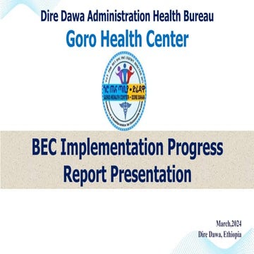 Goro HC BEC Implementation Progress Report.pptx