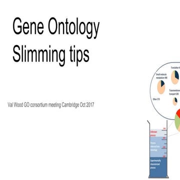 GO slimming tips | PDF