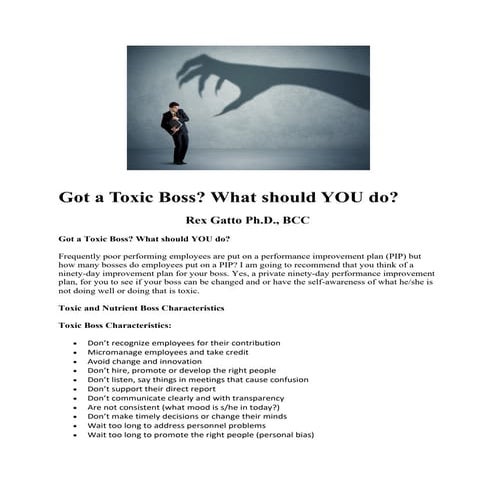 Got a Toxic Boss | PDF
