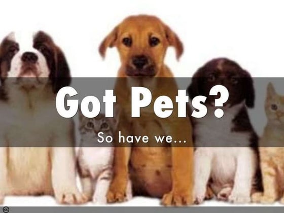 Setting up social media for your organisation:10 questions to consider ...