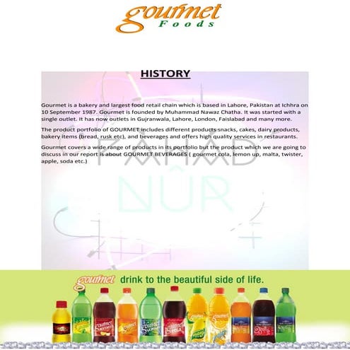 Gourmet Final Report - Marketing - 2017 | PDF