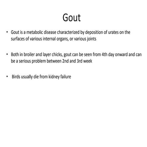 Gout in poultry | PPTX