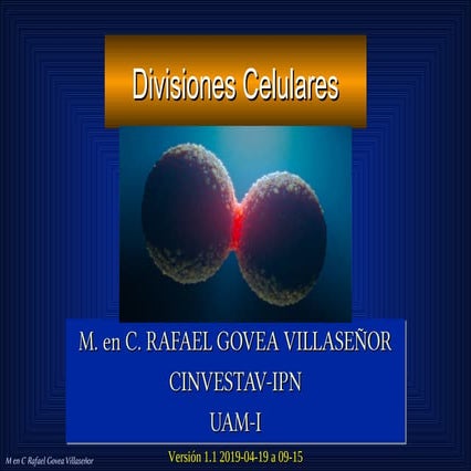 Divisiones Celulares v2_2 | PDF